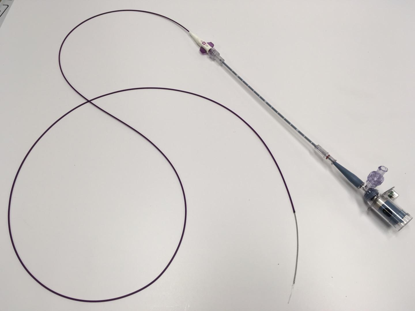 New Cardiac Catheter Uses Light and Ultrasound to Detect Plaque ...