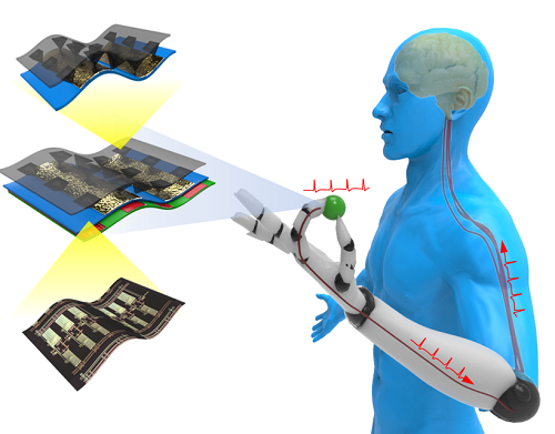 Artificial Skin to Bring Prosthetics Alive | Electronics360