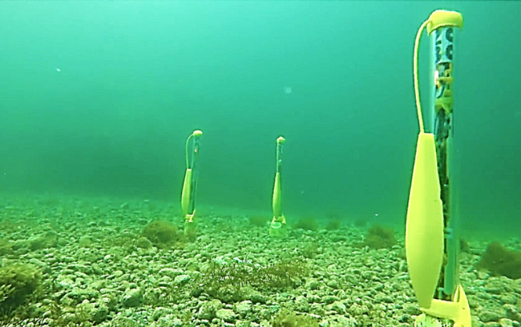 Aquabotix Technology Corporation Receives Non-Dilutive Funding from U.S ...