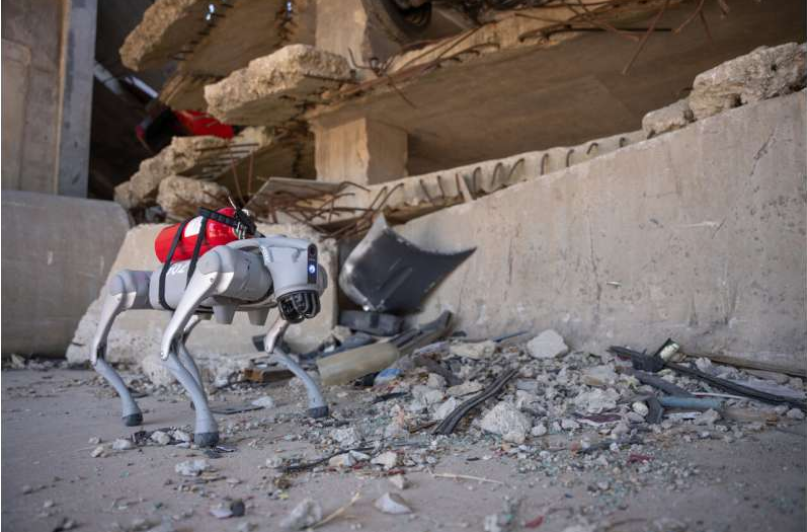 AI-powered rescue robot dog delivers human-grade vision and response in ...