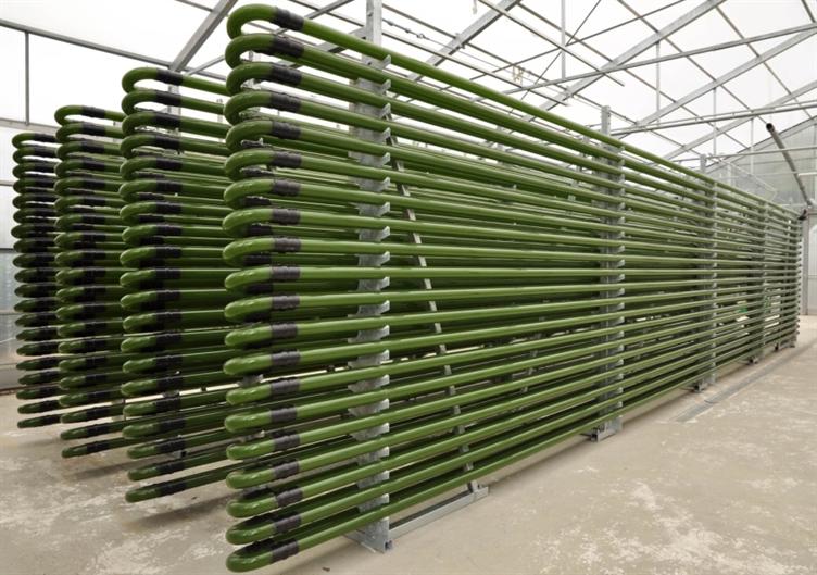 Sea fuel: Generating power with algae | Electronics360