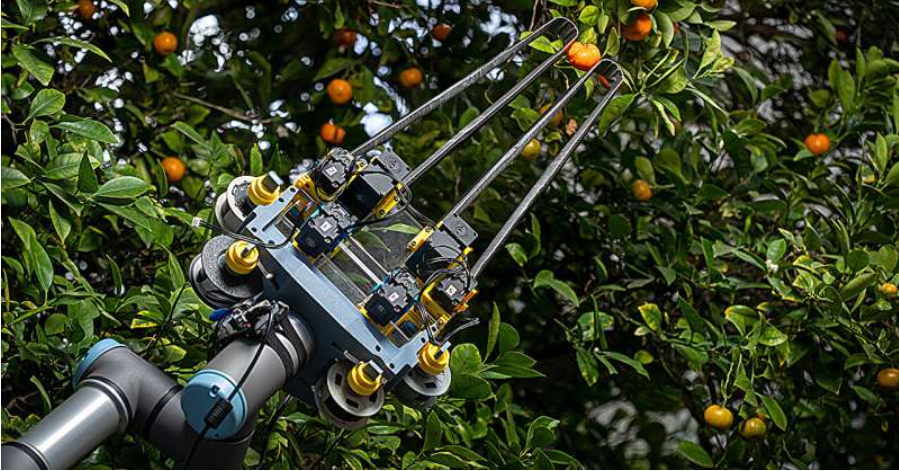 This measuring tape-inspired robot hand is ready to pick your produce ...
