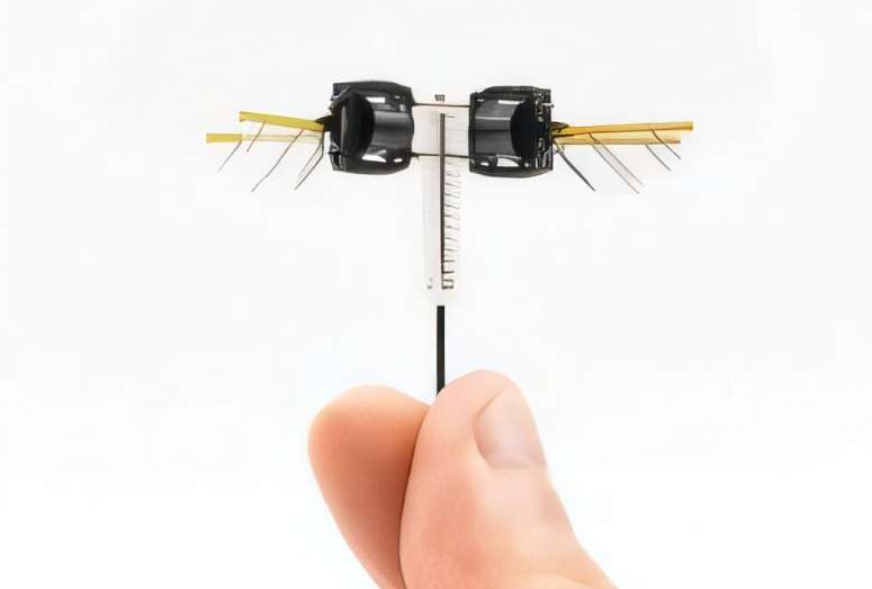 Tiny jumping robot masters rough terrain with big lifting power ...