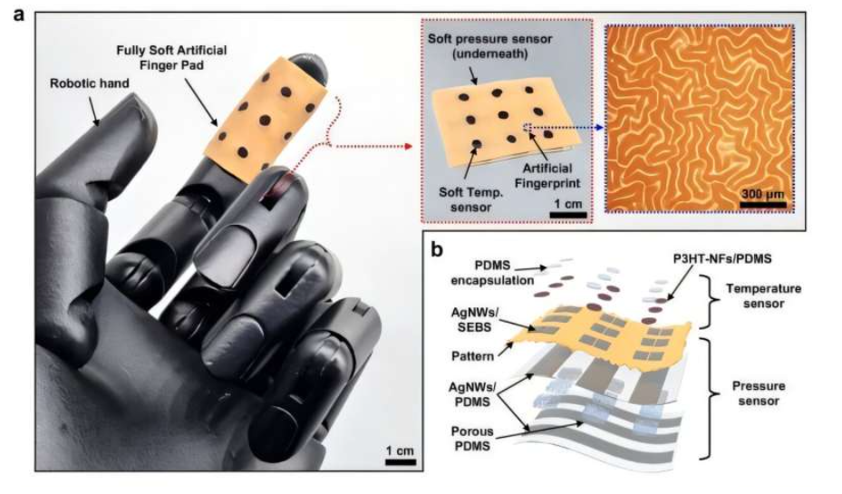 Electronic skin with distinct fingerprint patterns boosts security ...