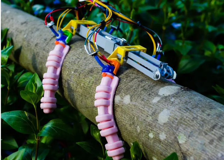 Steam-powered beast unleashes 50 newtons of force to crawl, cling and ...