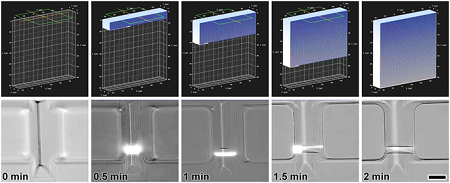 Direct laser writing enables 3D nanoprinting of microfluidic devices ...