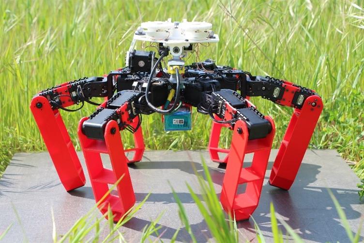 AntBot takes its navigational cues from... you guessed it, ants ...