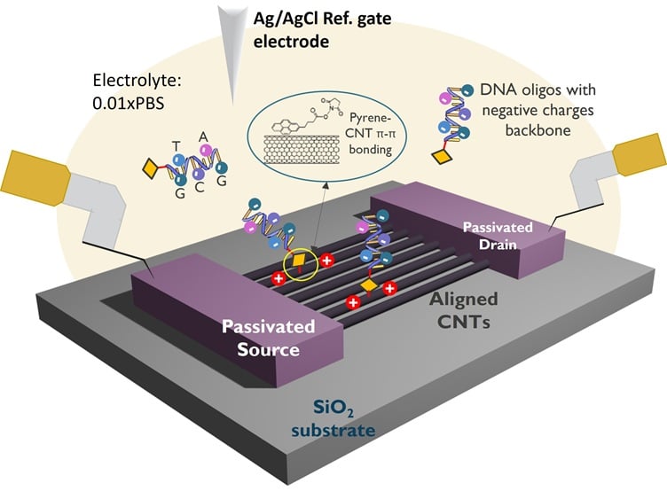 Toward scalable single molecule biosensing using carbon nanotube FETs ...